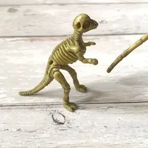 Dino-Mite | Toys | Dinosaur Skeleton Figurines Set Of 2 Trex Raptor ...